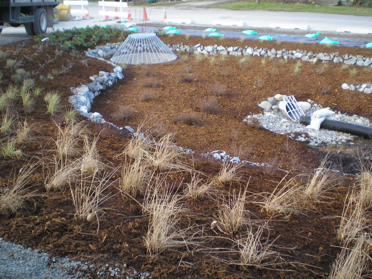 Evaluating the Performance of Bio-Swale Plant Material - J.A. Brennan ...